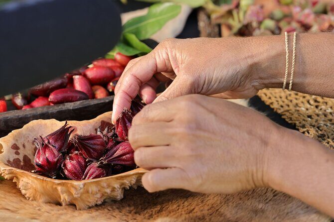 Cape Byron Aboriginal Tour - The Sum Up