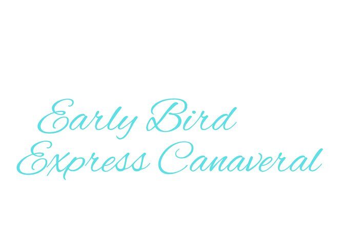 Cape Canaveral Private Transfer to MCO Orlando Airport - FAQ