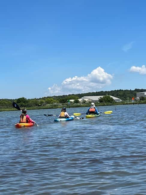 Cape Charles, VA: Introduction to Sea Kayaking - An In-Depth Look at the Experience
