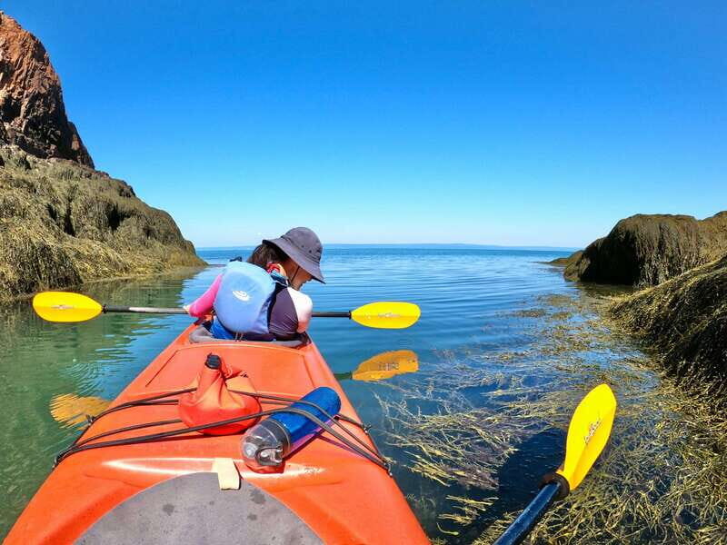 Cape Chignecto: Three Sisters Kayaking Day Tour - FAQ