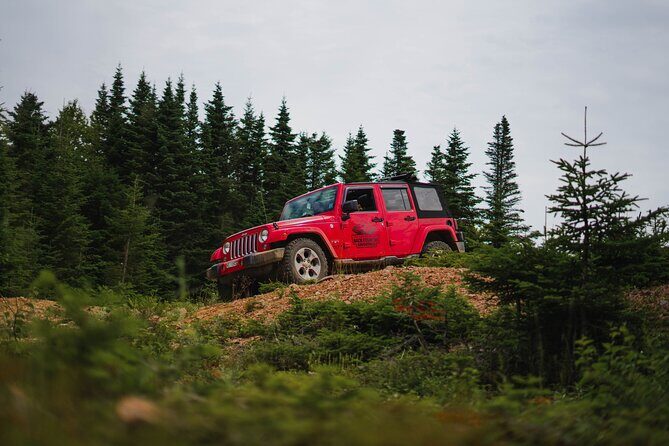 Cape Clear Look-off Express - Private Jeep Tour - Transportation & Comfort