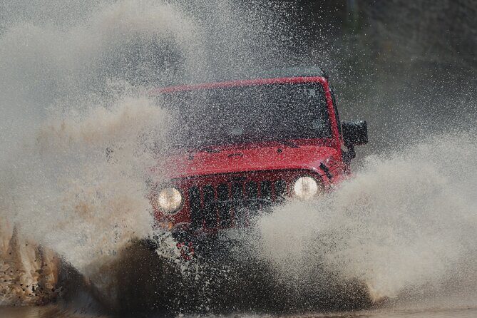 Cape Clear Look-off Express - Private Jeep Tour - Authentic Experiences & Real Reviews