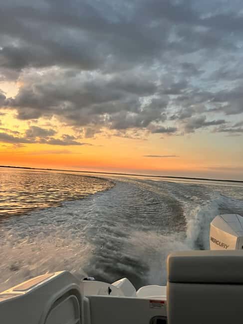 Cape Coral: Private Dolphin and Sunset Cruise - Practical Details & Tips