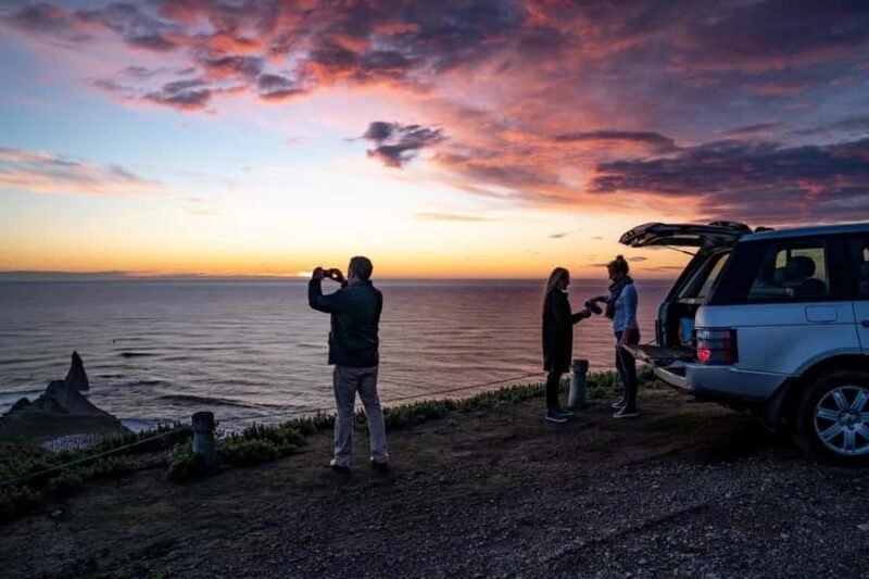 Cape Kidnappers: Gannet Colony Exclusive Sunrise Tour - An In-Depth Look at the Experience