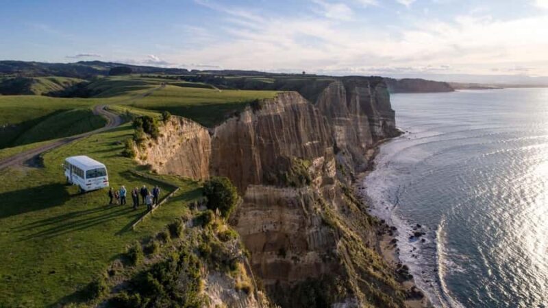 Cape Kidnappers Gannet Colony Private Tour - Key Points