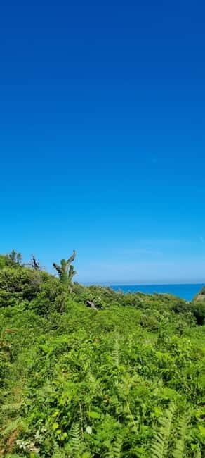 Cape of Rodon, Hiking to Castle, Beach, Wine testing tour! - The Itinerary Breakdown: What to Expect