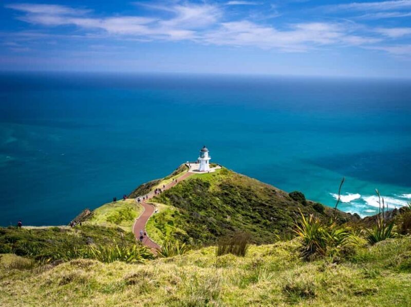Cape Reinga: Day Trip from Paihia, Kerikeri, or Kaitaia - Key Points