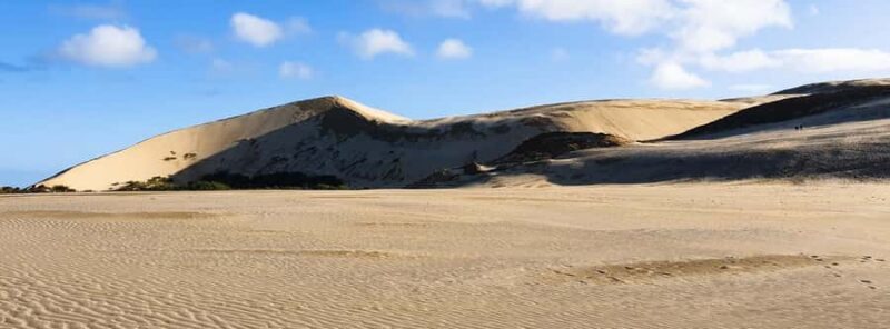 Cape Reinga: Day Trip from Paihia, Kerikeri, or Kaitaia - The Sum Up