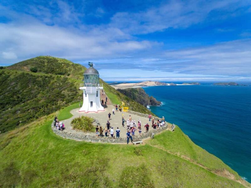 Cape Reinga: Mori Culture Experience with Ngti Kur Tribe - Key Points