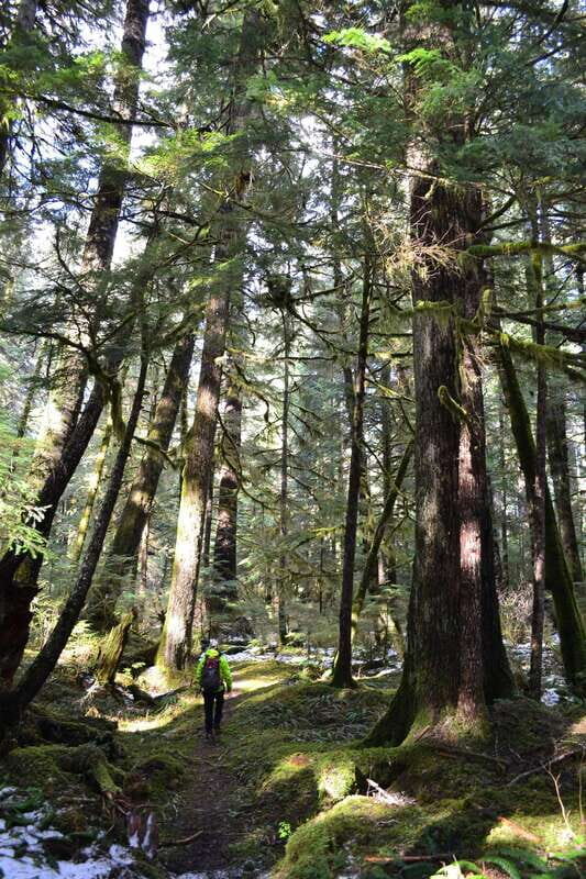Cape Scott: San Josef Bay Day Hike with Scenic Drive - The Itinerary: From Port Hardy to San Josef Bay