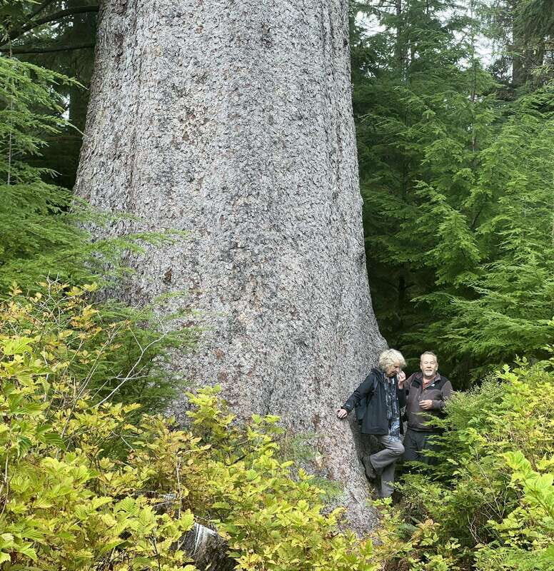 Cape Scott: San Josef Bay Day Hike with Scenic Drive - Exploring San Josef Bay & Sea Stacks