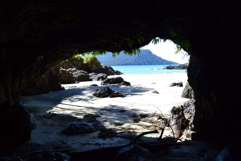 Cape Scott: San Josef Bay Day Hike with Scenic Drive - Practical Details & Value