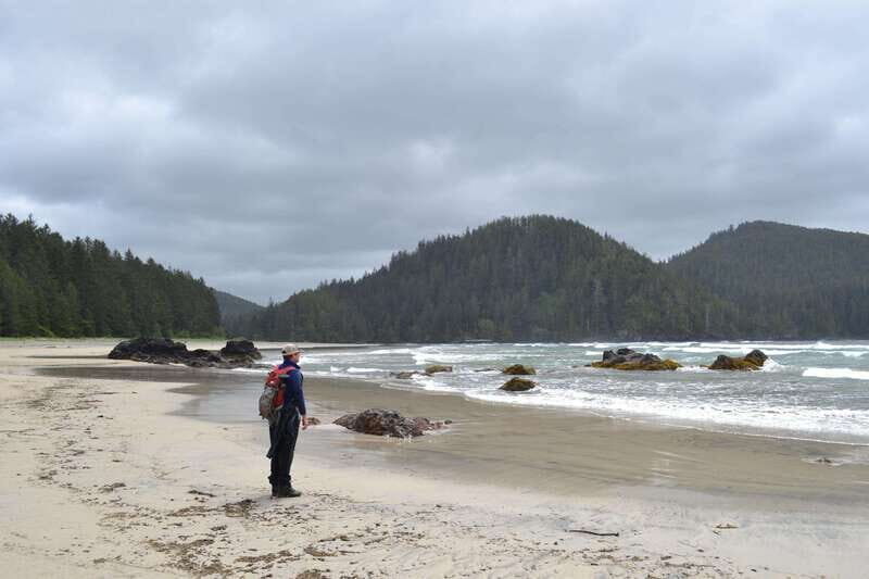 Cape Scott: San Josef Bay Day Hike with Scenic Drive - Customer Perspectives: Authentic Feedback