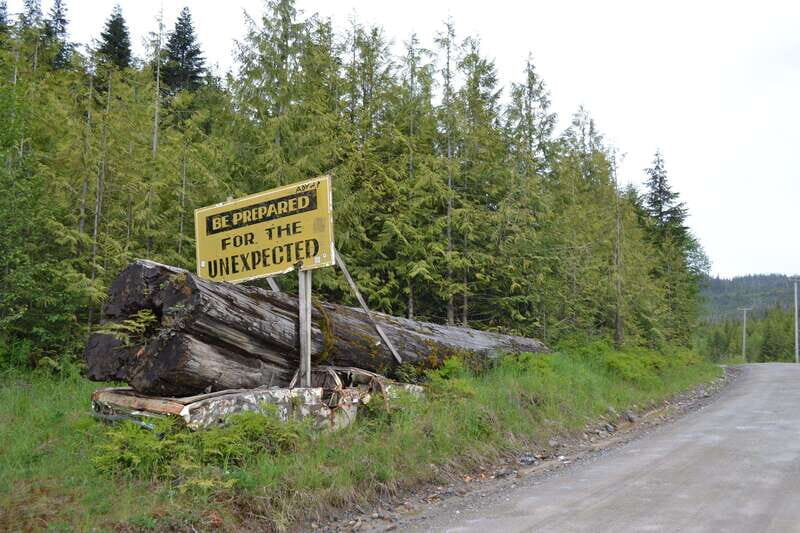 Cape Scott: San Josef Bay Day Hike with Scenic Drive - Who Should Consider This Tour?