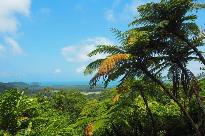 Cape Tribulation & Daintree Wilderness (TCT) - Crocodile River Cruise