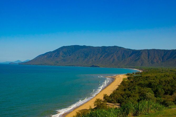 Cape Tribulation Day Tour - A Complete Look at the Cape Tribulation Day Tour