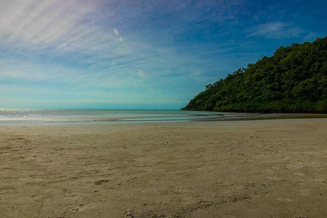 Cape Tribulation Day Tour - Who Is This Tour Perfect For?