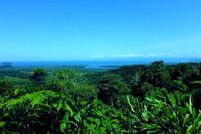 Cape Tribulation, Mossman Gorge and Daintree Rainforest Day Tour - Authentic Experiences and Hidden Gems