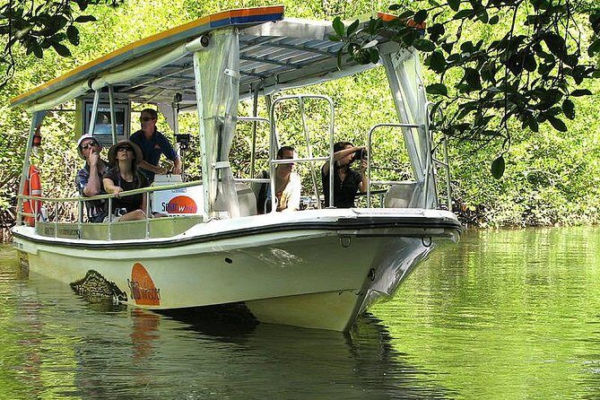 Cape Tribulation, Mossman Gorge and Daintree Rainforest Day Tour - The Sum Up: Who Will Love This Tour?