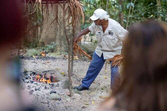 Cape Tribulation, Mossman Gorge, and Daintree Rainforest Day Trip - An In-Depth Look at the Tour