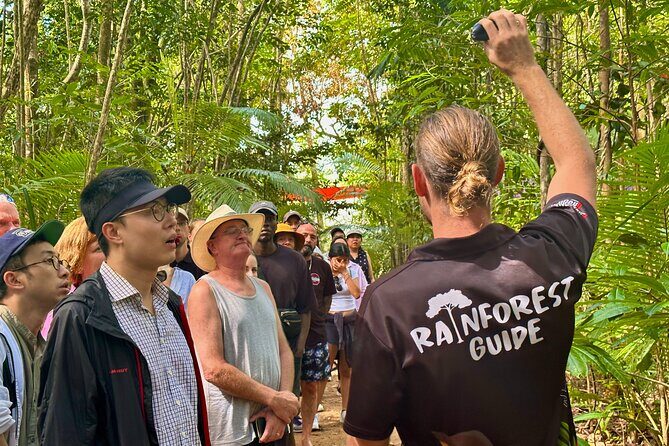 Cape Tribulation, Mossman Gorge, and Daintree Rainforest Day Trip - Final Thoughts