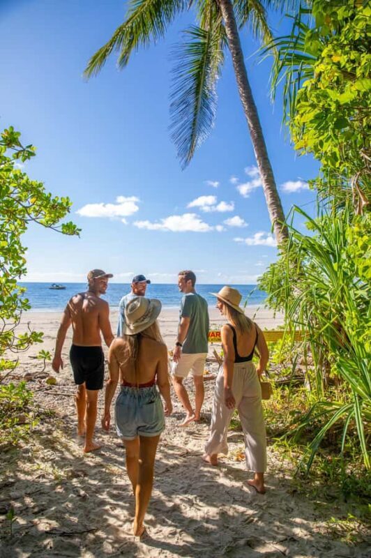 Cape Tribulation Ocean Safari - Great Barrier Reef Adventure - What Makes This Tour a Standout?
