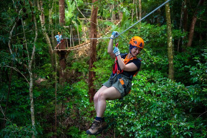 Cape Tribulation & Ziplining: Ultimate Daintree - Why You Should Consider This Tour