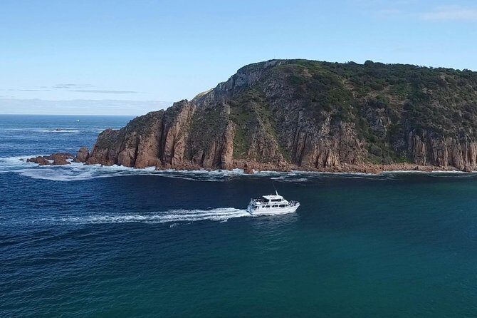 Cape Woolamai Sightseeing Cruise from San Remo - What to Expect from the Experience