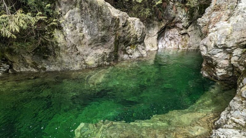 Capilano Br+Granville Isl+Capilano Hatchery+Lynn Canyon Tour - The Sum Up: Is This Tour Right for You?