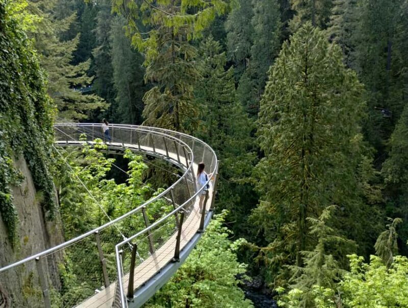Capilano Br+Grouse Mtn+Dam+Lake&Hatcher/5in1/Small Group/Car - A Closer Look at the Tour Itinerary
