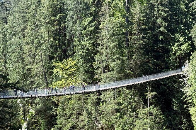 Capilano Br+Grouse Mtn+Dam+Lake+Hatchery/5in1CarTour+Small Group - What to Expect from the Experience