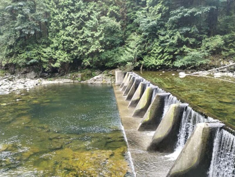 CAPILANO BR+GROUSE Mtn+STANLEY P+DAM+LAKE+HATCHERY/CAR/9in1 - A Closer Look at the Tour Itinerary