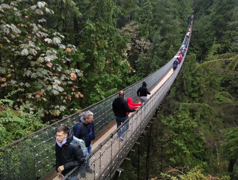 CAPILANO BR+GROUSE Mtn+STANLEY P+DAM+LAKE+HATCHERY/CAR/9in1 - Authentic Experiences That Shine