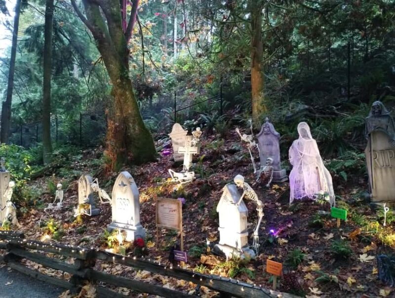 CAPILANO BR+GROUSE Mtn+STANLEY P+DAM+LAKE+HATCHERY/CAR/9in1 - Who Should Consider This Tour?