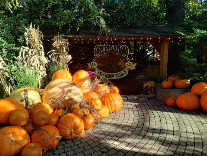 CAPILANO BR+GROUSE Mtn+STANLEY P+DAM+LAKE+HATCHERY/CAR/9in1 - FAQ