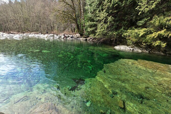 Capilano Bridge+Granville Isl+ Capilano Hatchery+Lynn Canyon Tour - FAQ