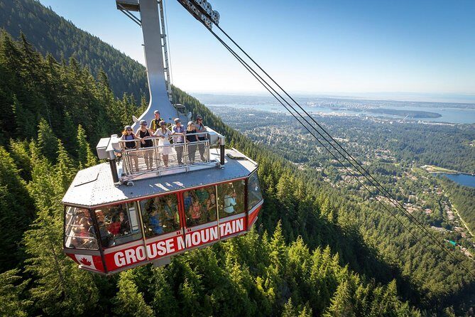 Capilano Suspension Bridge + Grouse Mountain Tour - Who Will Love This Tour?