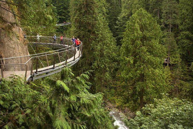 Capilano Suspension Bridge + Grouse Mountain Tour - The Sum Up