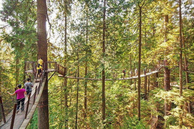 Capilano Suspension Bridge + Grouse Mountain Tour - FAQs