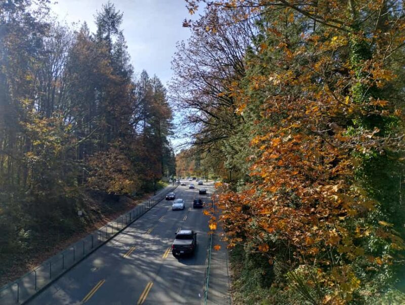 Capilano Suspension Br+Lake+Dam+Hachery/4in1/CAR/Small GROUP - FAQs