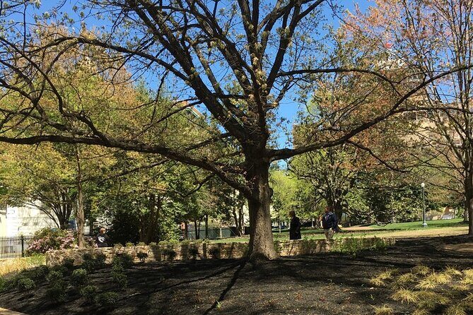 Capitol Steps and Stories Walking Tour - Exploring the Itinerary in Detail