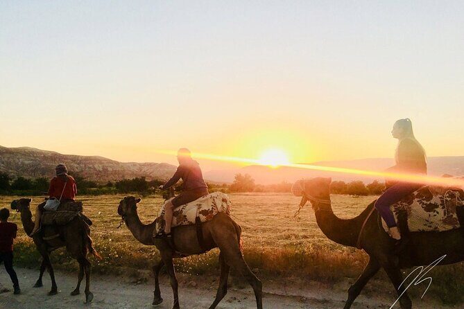 Cappadocia Camel Ride - What to Expect from the Experience
