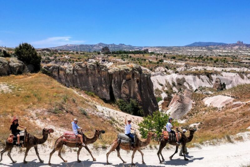 Cappadocia: Camel Safari - What to Expect from the Camel Safari in Cappadocia  