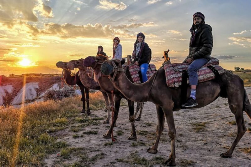 Cappadocia: Camel Safari - The Detailed Breakdown of the Tour  