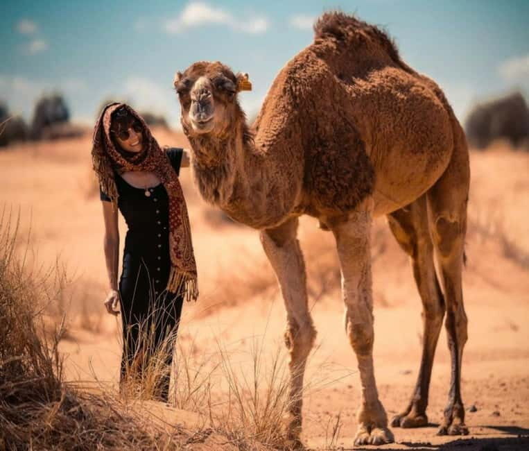 Cappadocia: Camel Safari Tour with Transfer - A Deep Dive into the Camel Safari Experience