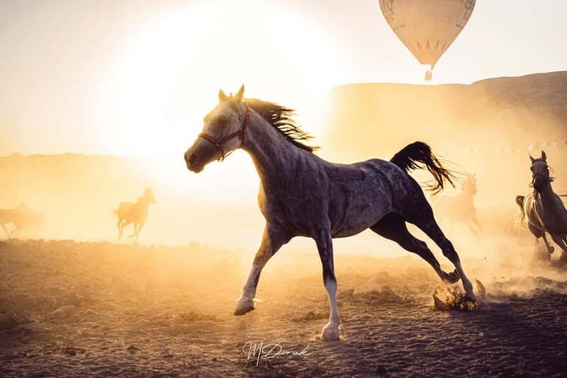 Cappadocia: Fascinating Horse Tour in Göreme Valleys - Key Points