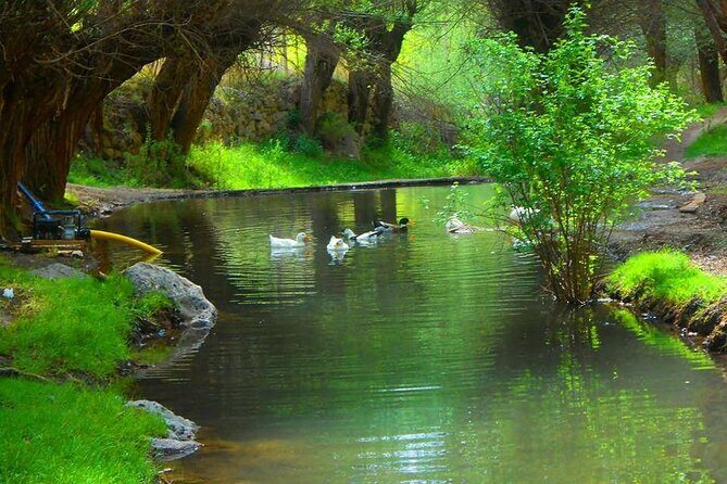 Cappadocia Guided Green Tour with Lunch & Entrance Fees - What Reviewers Are Saying
