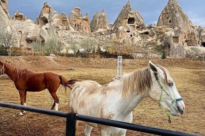 Cappadocia Horseback Riding Tour (Transfer Included) - The Experience in Detail