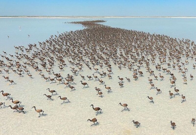 Cappadocia Tour: Underground City, Caravanserai & Salt Lake - FAQs