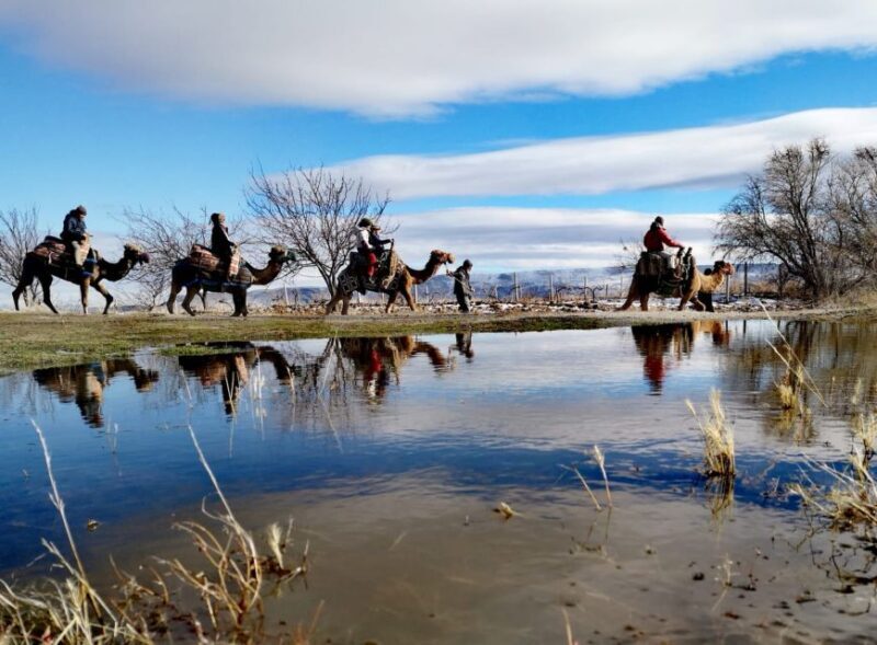 Cappadocia: Valleys Highlights Camel Tour with Hotel Pickup - Who Will Enjoy This Tour?